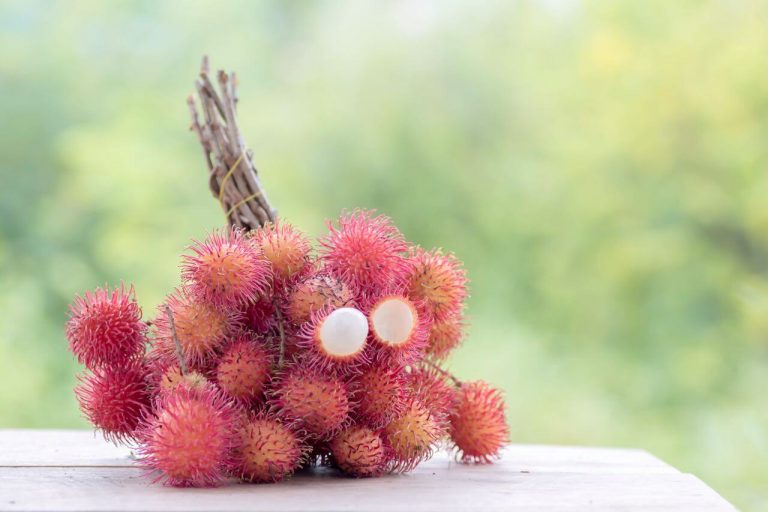 What's The Difference Between Rambutan and Lychee? | Vibrant Happy Healthy